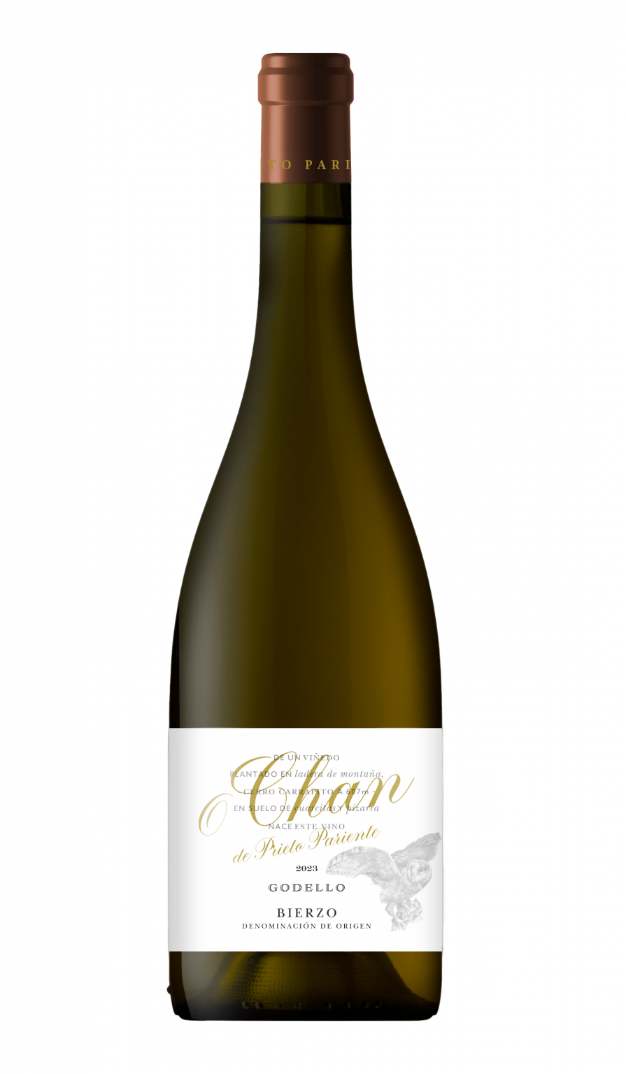 O CHAN: el nuevo Godello, denominación de origen Bierzo, de Bodegas ...